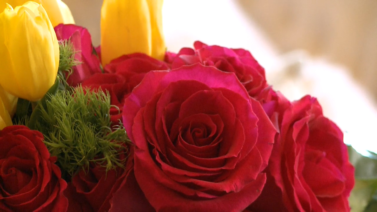 How to Keep Your Flowers Healthy and Fresh Any Time of the Year