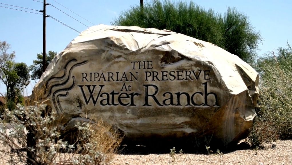 Enjoy Scenic Treasure The Riparian Preserve at Water Ranch