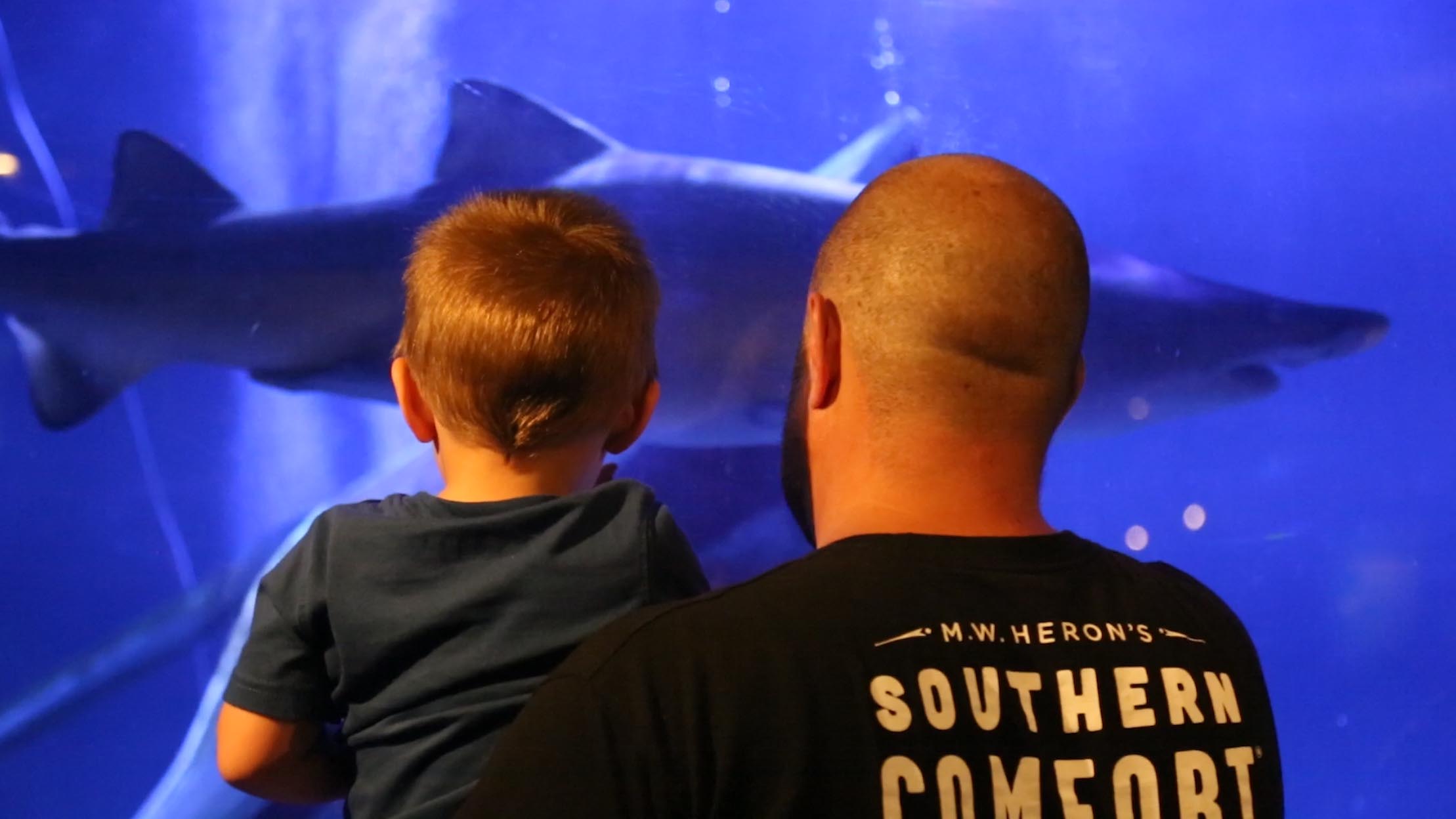 Feinstein Foundation Shark Week Winners Invade Mystic Aquarium