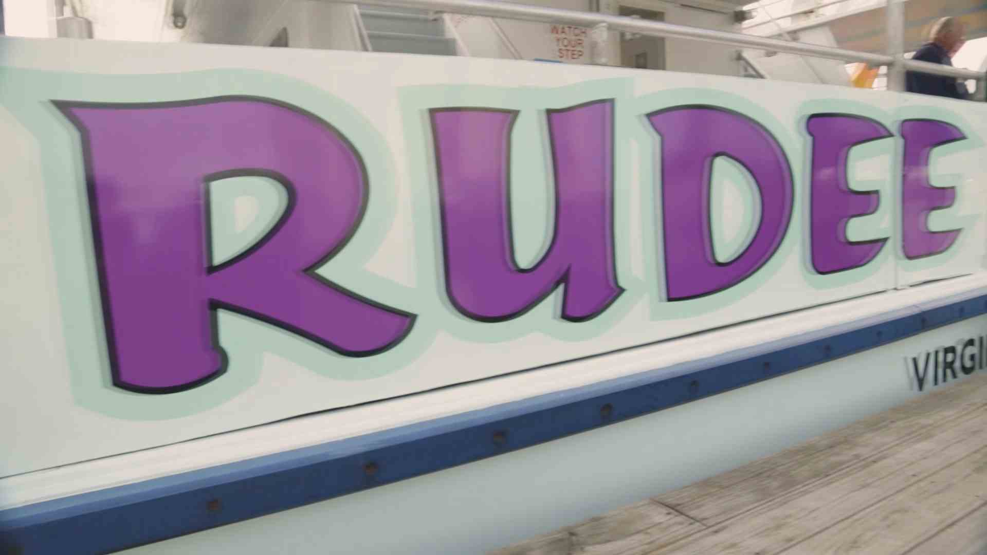 Get Up Close to the Whales with Rudee Tours