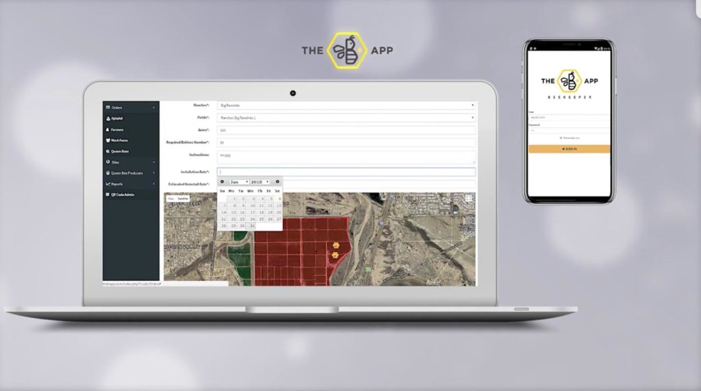 The B App Brings Beekeeping into the 21st Century