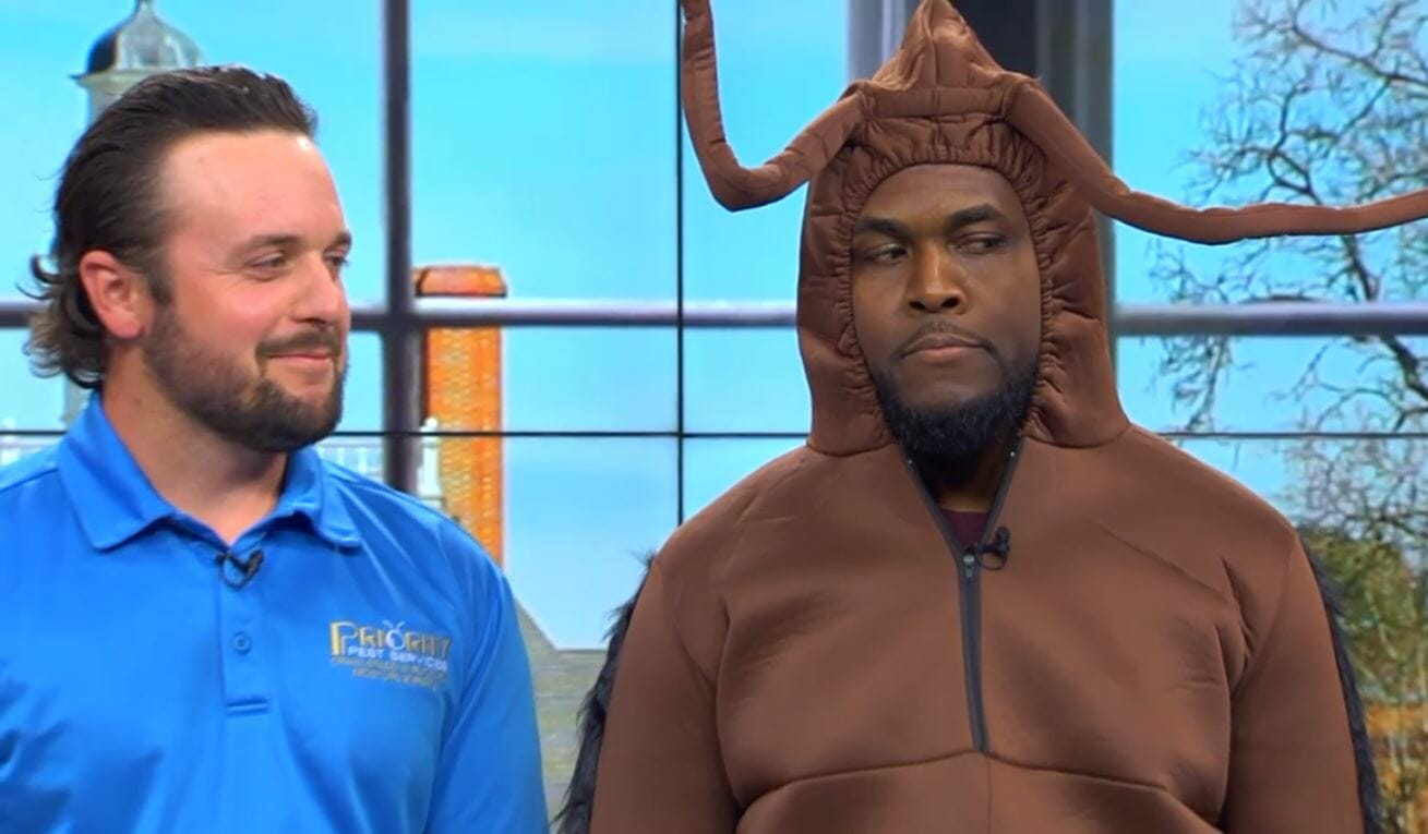 2nd Monthly Priority Pest Cockroach Races - Yurview