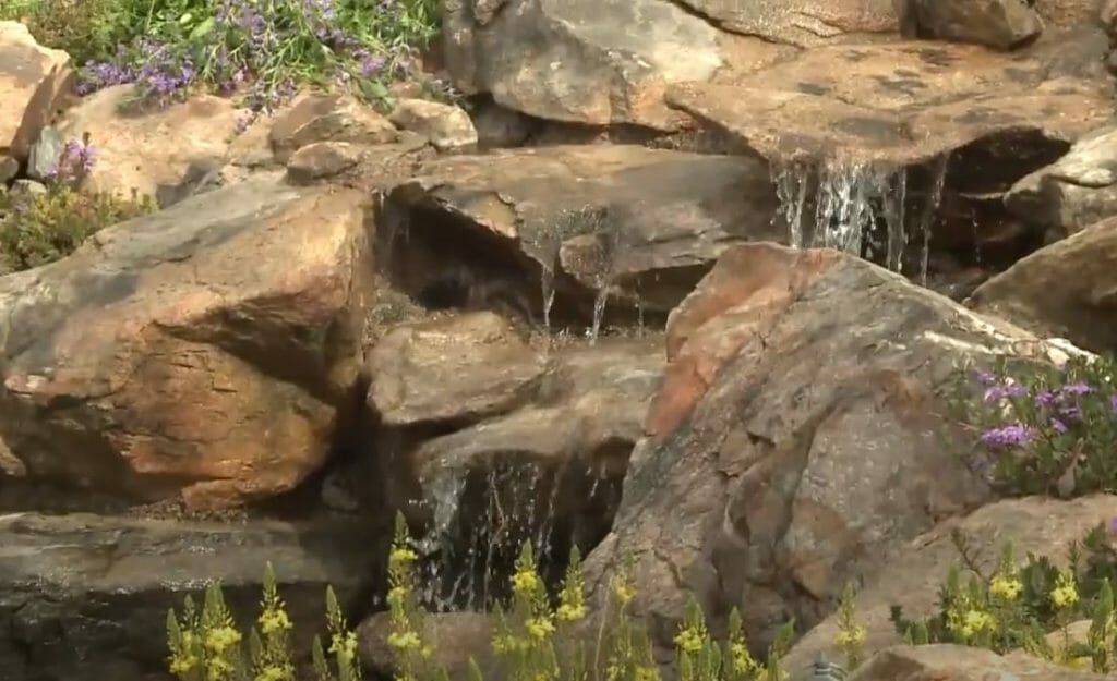 Unique, Award-Winning Arizona Landscape Design