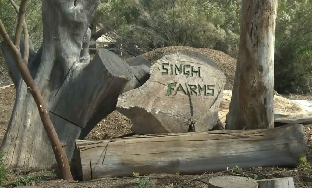 Unique, Award-Winning Arizona Landscape Design