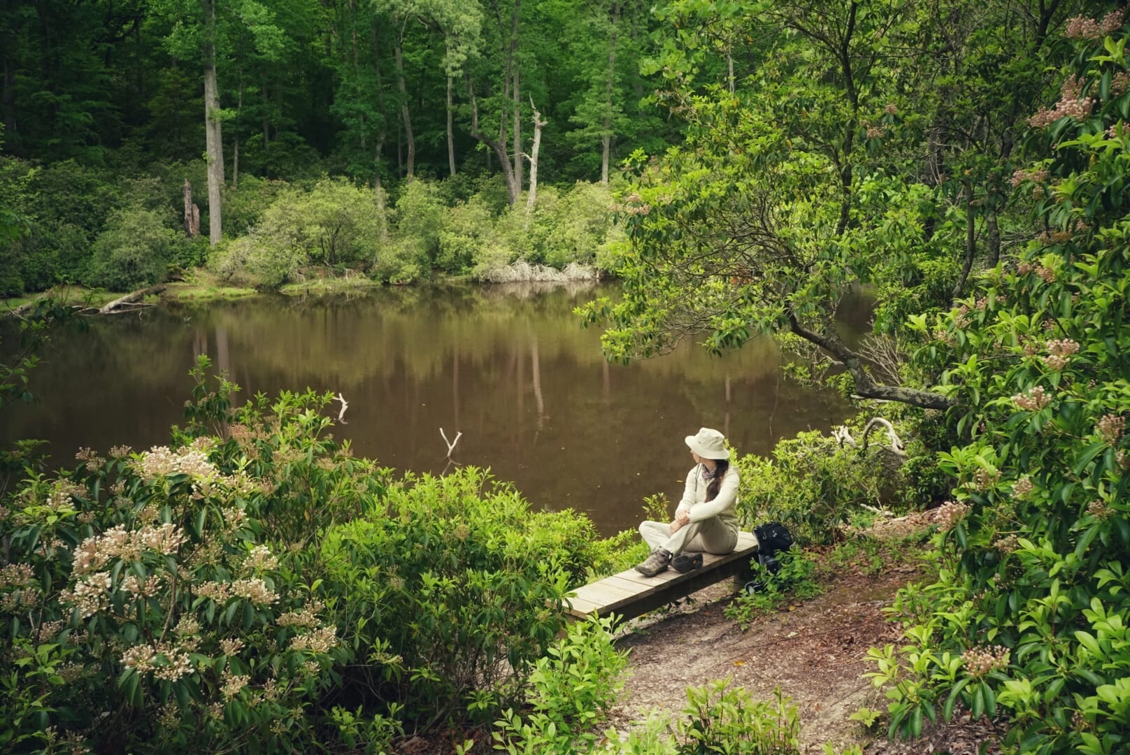 Virginia Outdoor Adventures Takes Destination Virginia on a Trip - Yurview