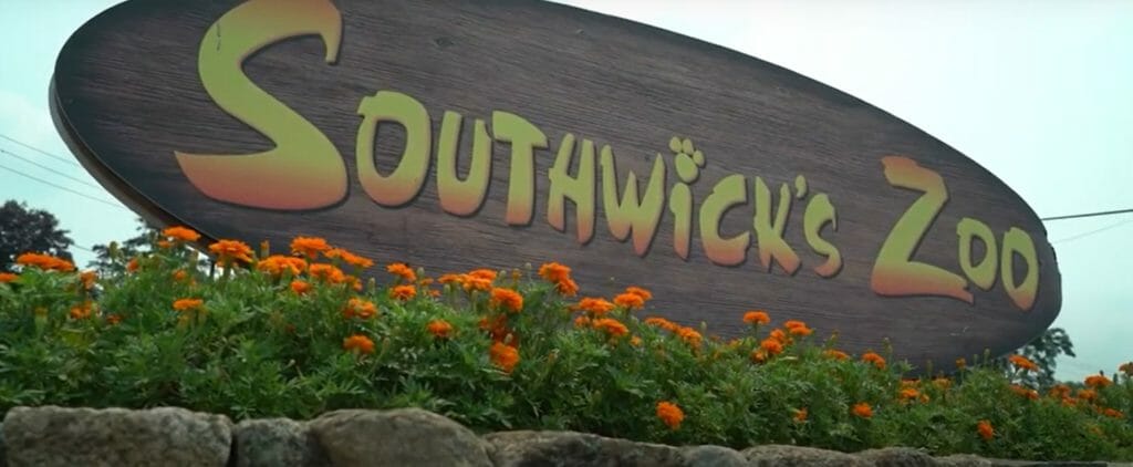 Up Close and Personal Southwick’s Zoo Animal Encounters