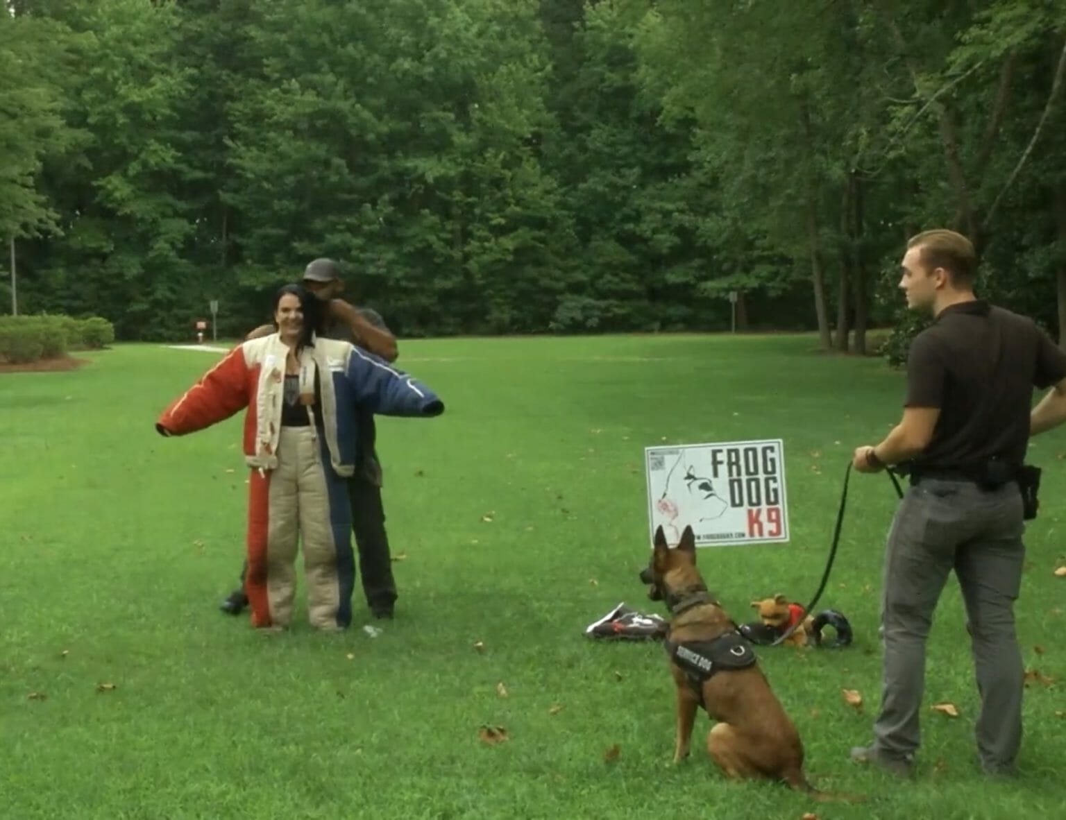 A Round of Ap-paws for Frog Dog K9 - Yurview