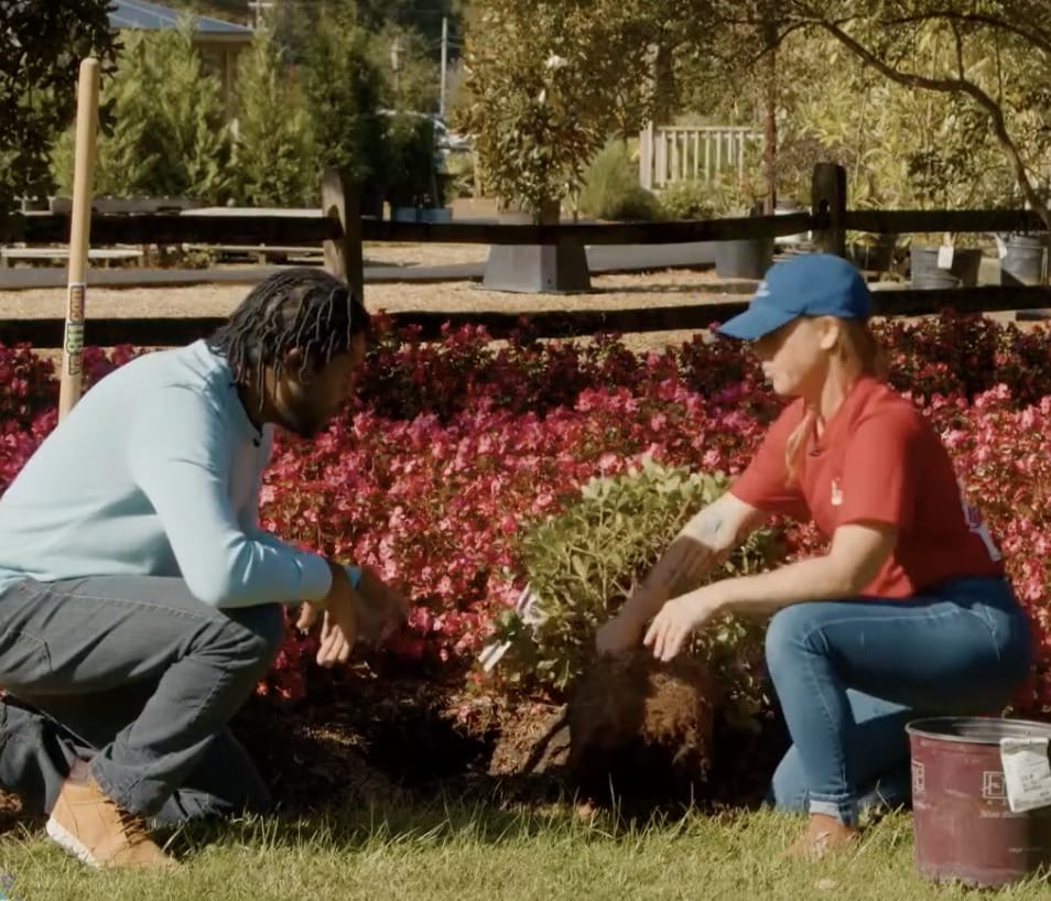Don't Plant those Shrubs Before Calling VA811 - Yurview