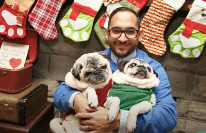 Vintage Pet Rescue - RI Retirement Home for Senior Dogs