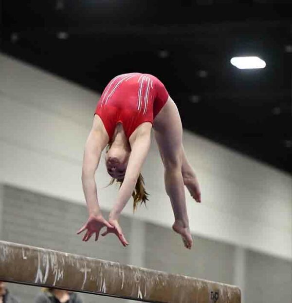 Riley Allen Is Burrillville High's Lone Gymnastics Wolf - Yurview