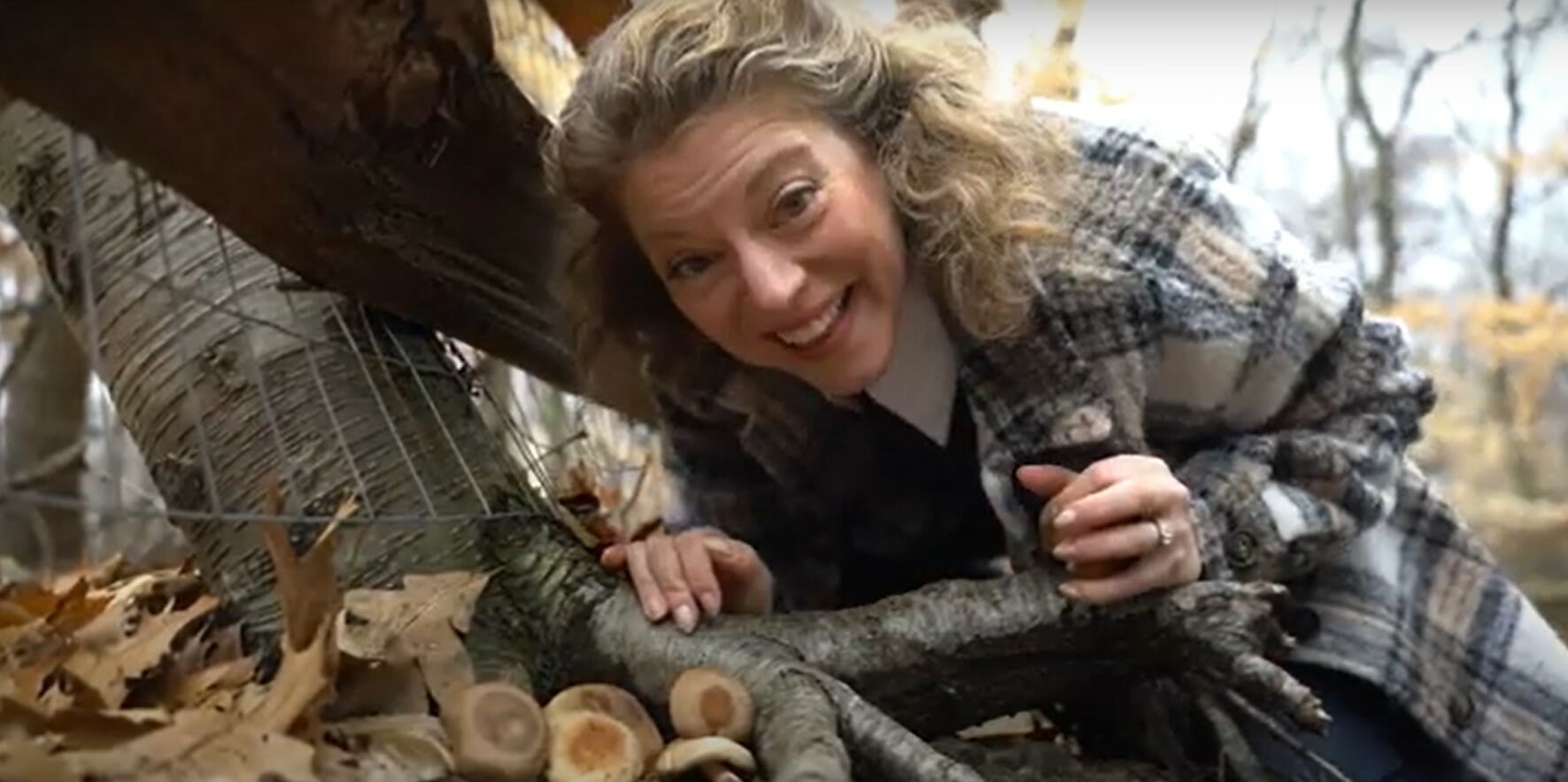 Simply New England - Marching Into Spring - Yurview