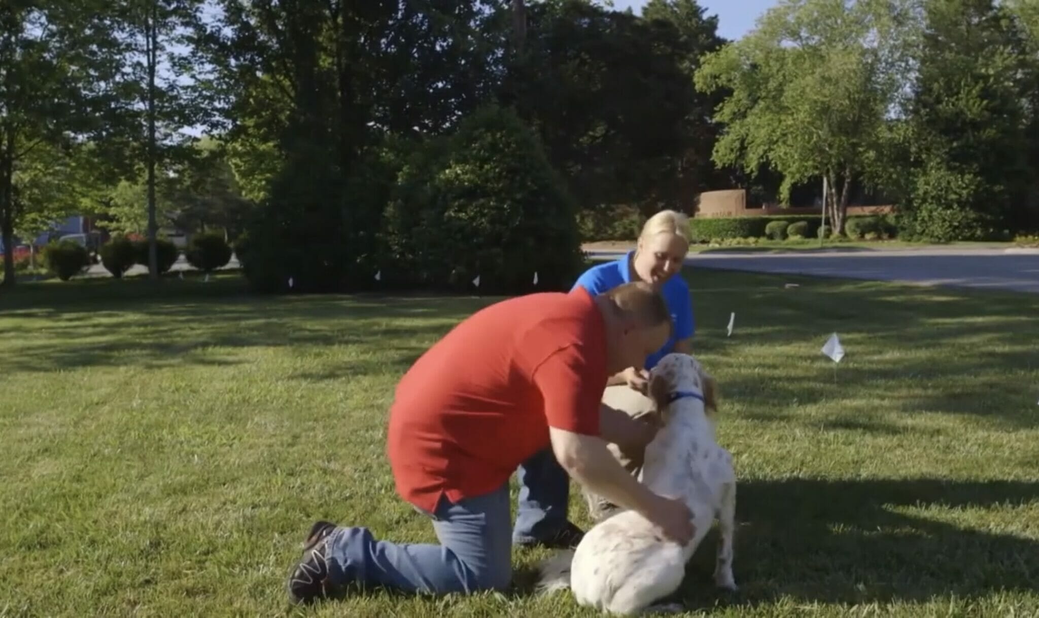 Let's Celebrate National Dog Day! - Yurview